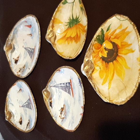 Accents | Newportrhode Islandand Cape Cod Sea Shells | Poshmark